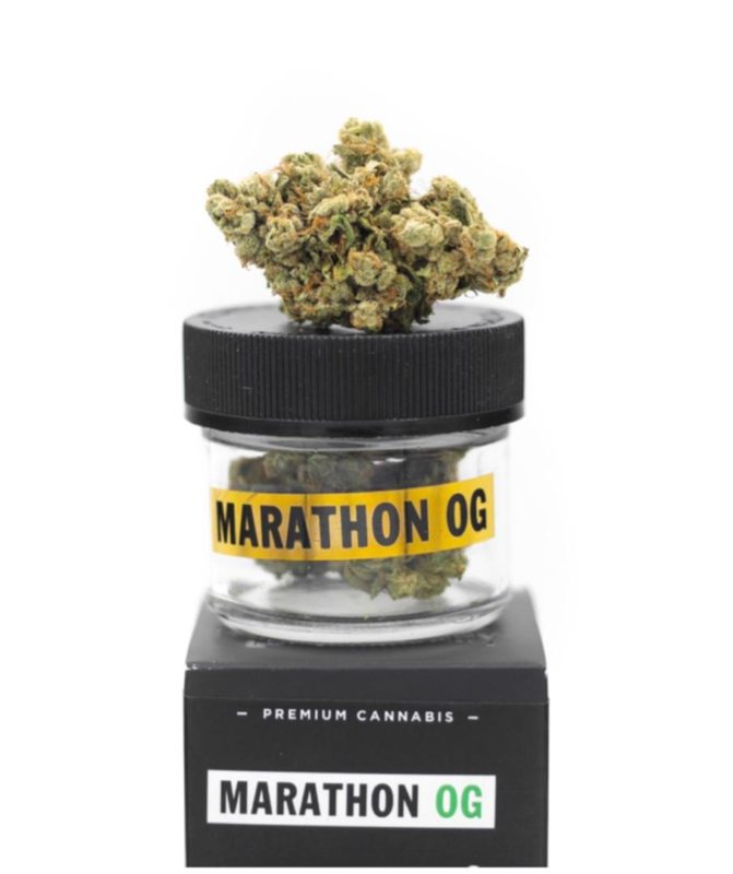 Marathon OG Strain | Backpack boyz